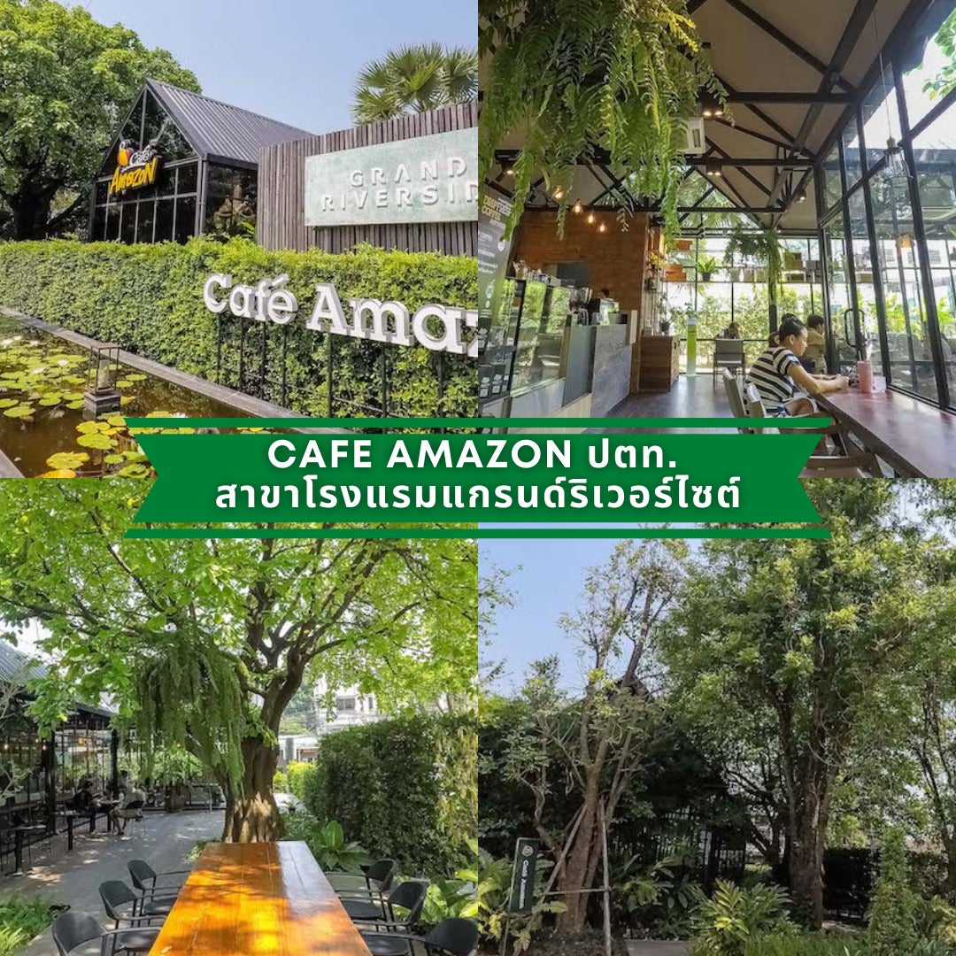 เปิดพิกัด 10 ร้าน Cafe Amazon วิวสวยที่ทุกคนต้องไปเช็คอิน!