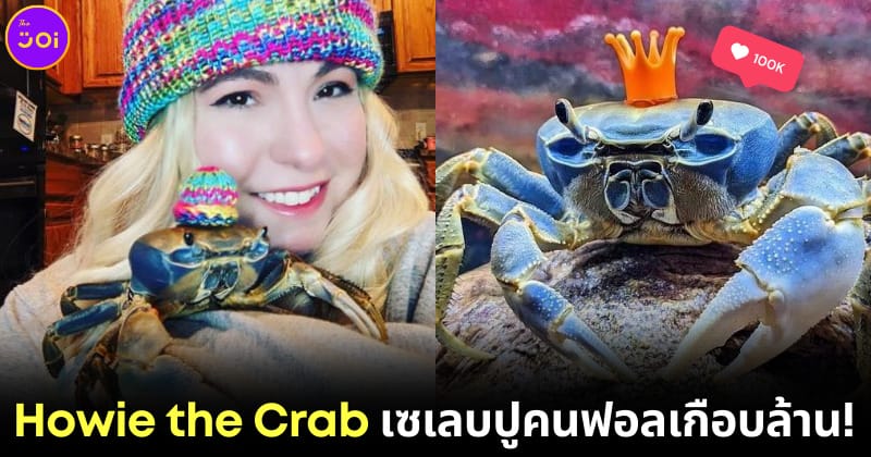 รู้จัก "Howie The Crab" ปูสายรุ้งที่ดังที่สุดบนโลกโซเชียล