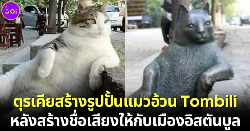 ตุรเคียสร้างรูปปั้น "Tombili" แมวอ้วนนั่งชิลล์ชื่อดัง หลังกลับดาวแมวแล้ว