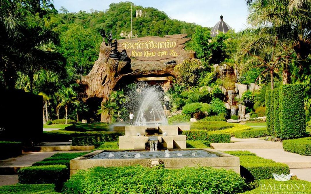 สวนสัตว์เปิดเขาเขียวติดกล้องให้ชมสัตว์ได้ 24 ชั่วโมง ทาง Zoodio.live