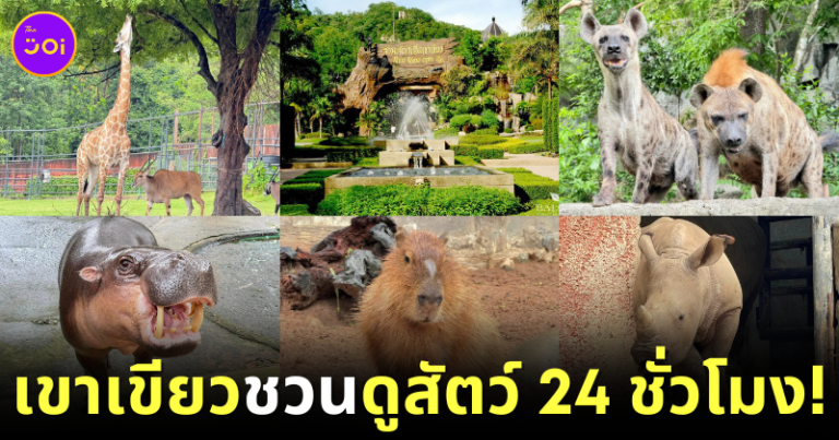 สวนสัตว์เปิดเขาเขียวติดกล้องให้ชมสัตว์ได้ 24 ชั่วโมง ทาง Zoodio.live
