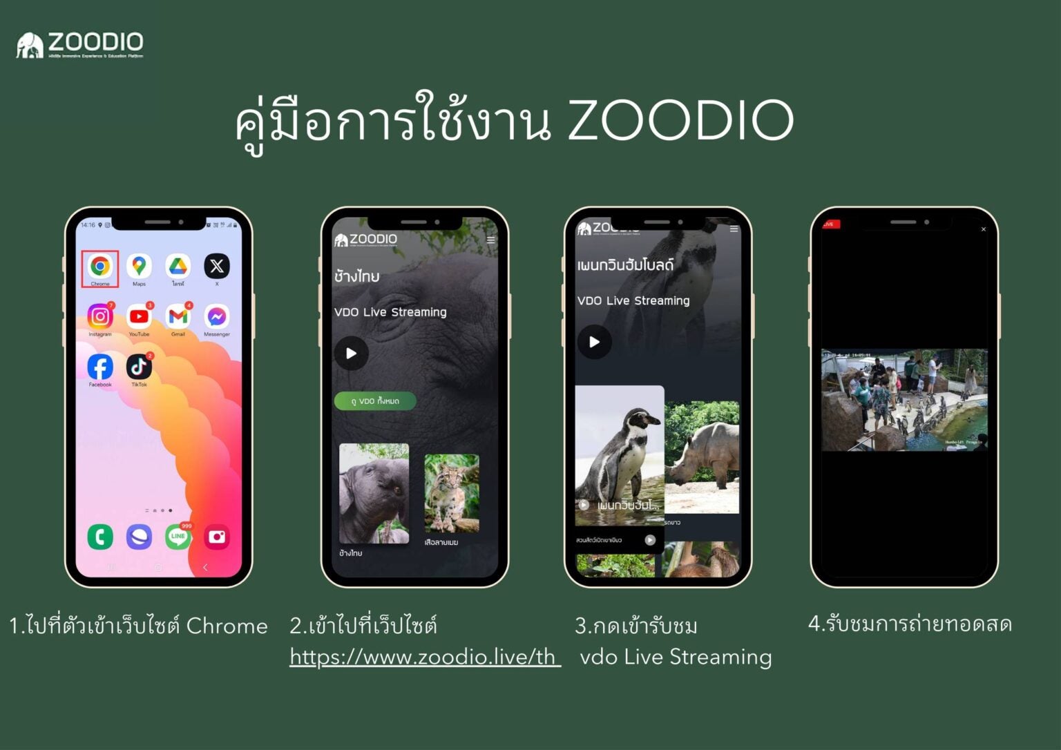 สวนสัตว์เปิดเขาเขียวติดกล้องให้ชมสัตว์ได้ 24 ชั่วโมง ทาง Zoodio.live